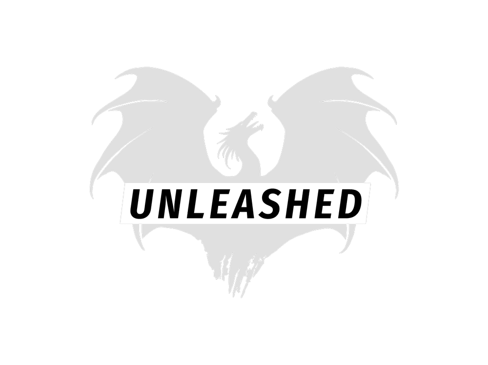 Press Kit — UNLEASHED GAMES