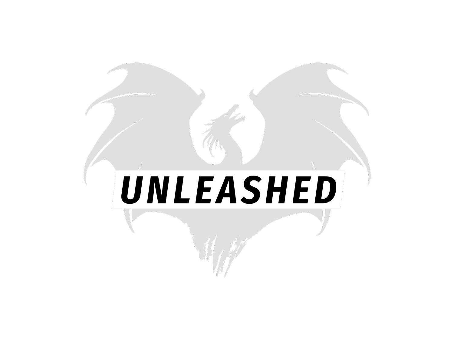 Press Kit — UNLEASHED GAMES