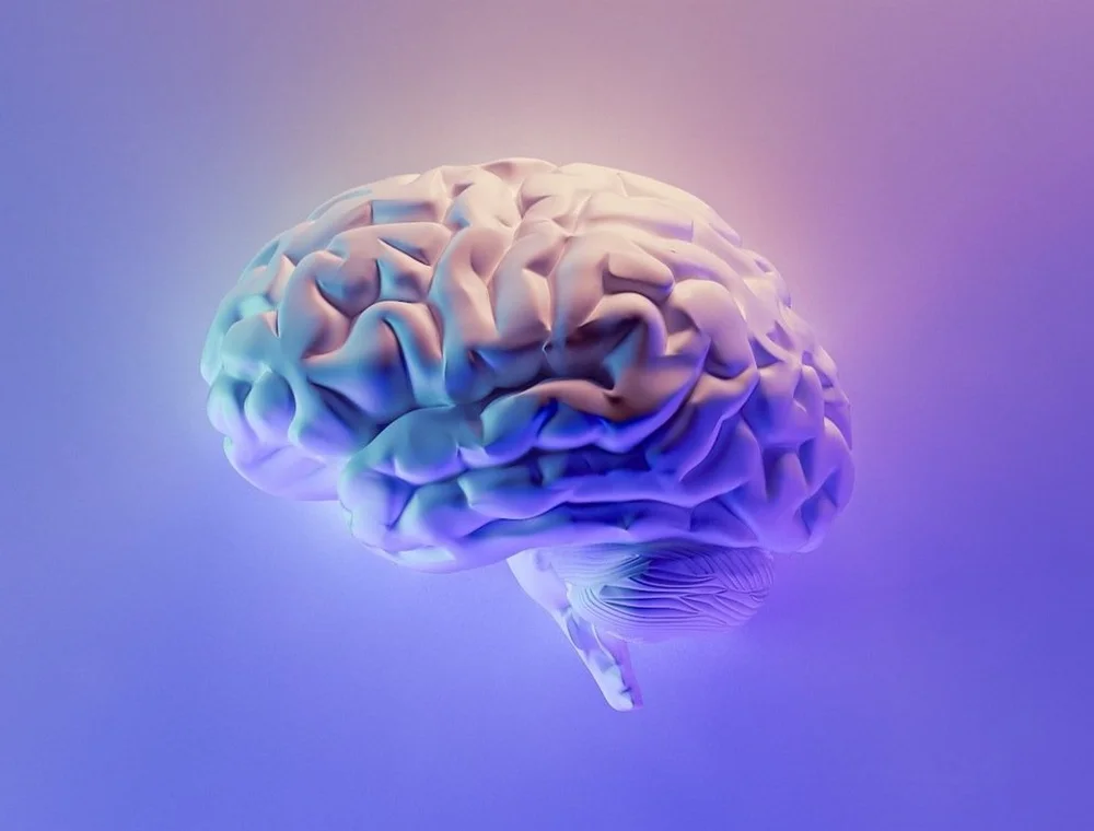 Neuroinformatics Lab