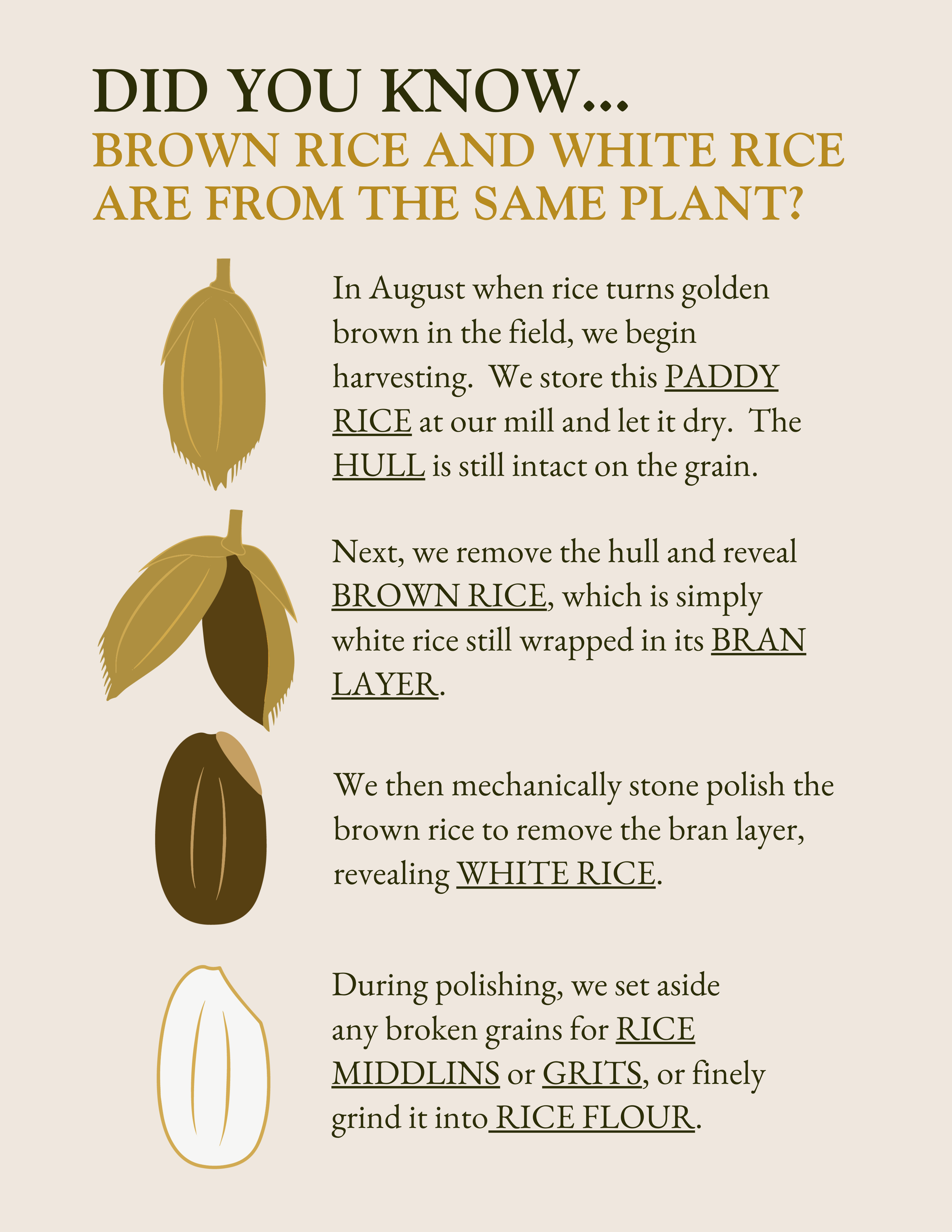Rice Flour — Tidewater Grain Co.