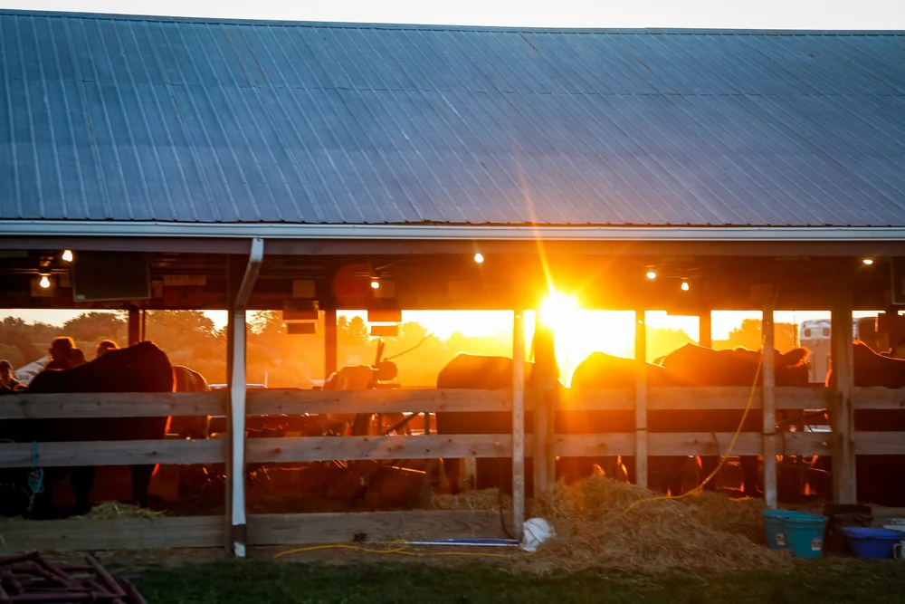 History — West Lampeter Community Fair
