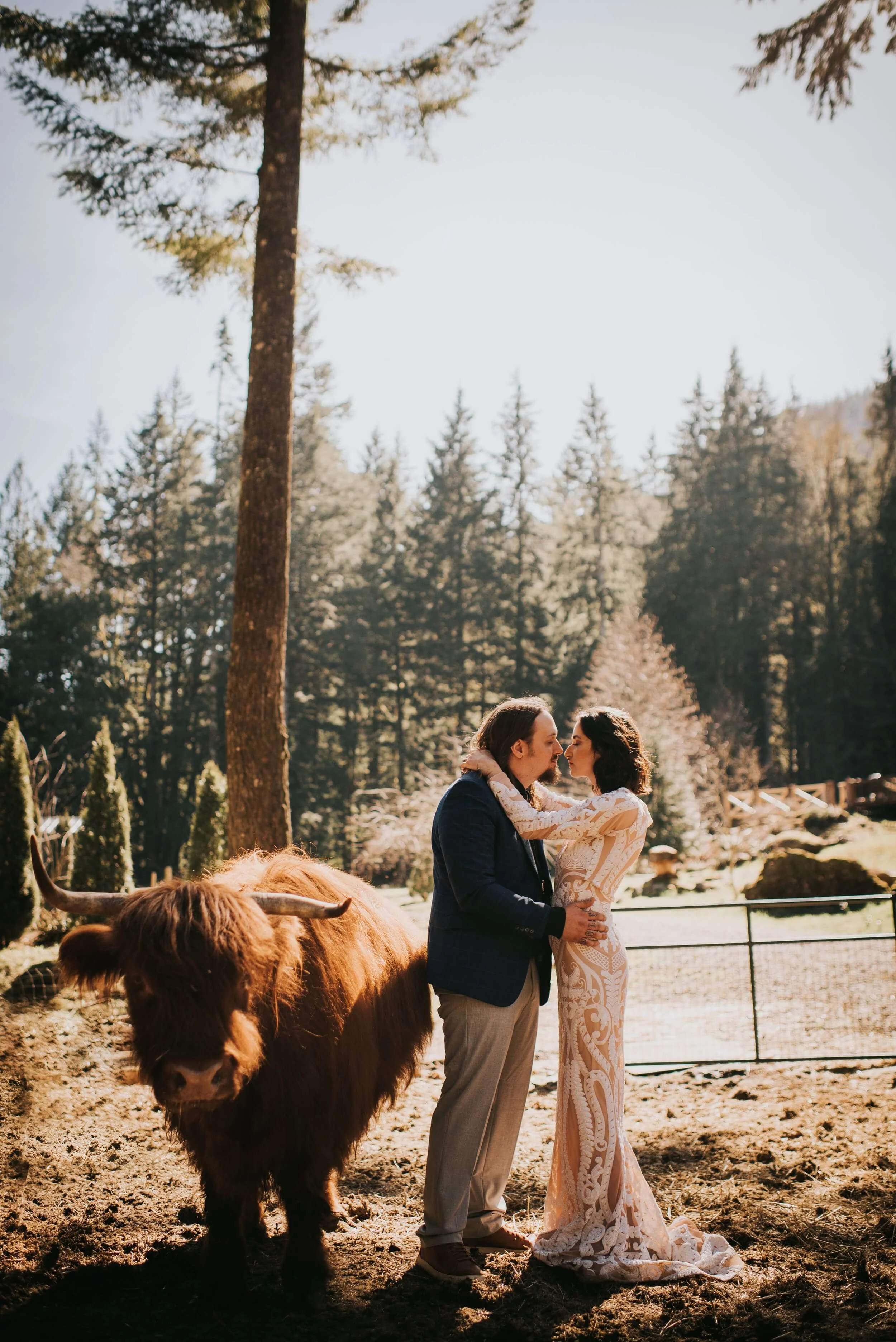 Highland forest wedding 60 photos - Astyledwedding.com