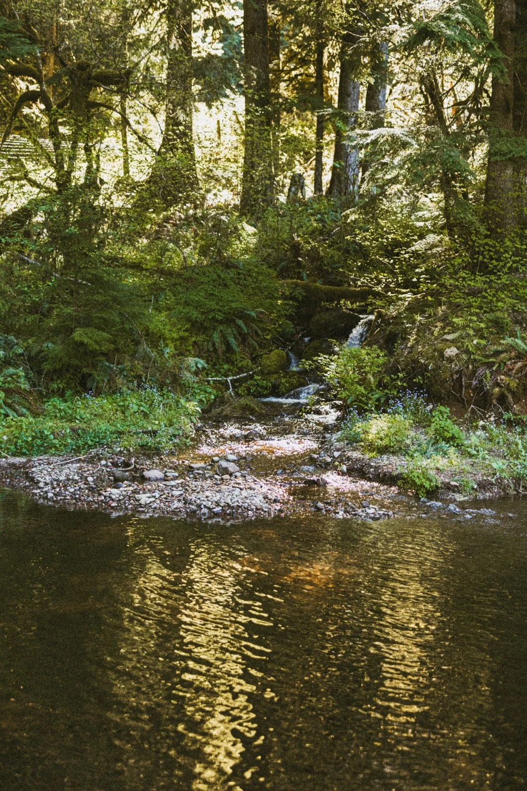 Events & Corporate Retreats in Oregon | Highland Farms