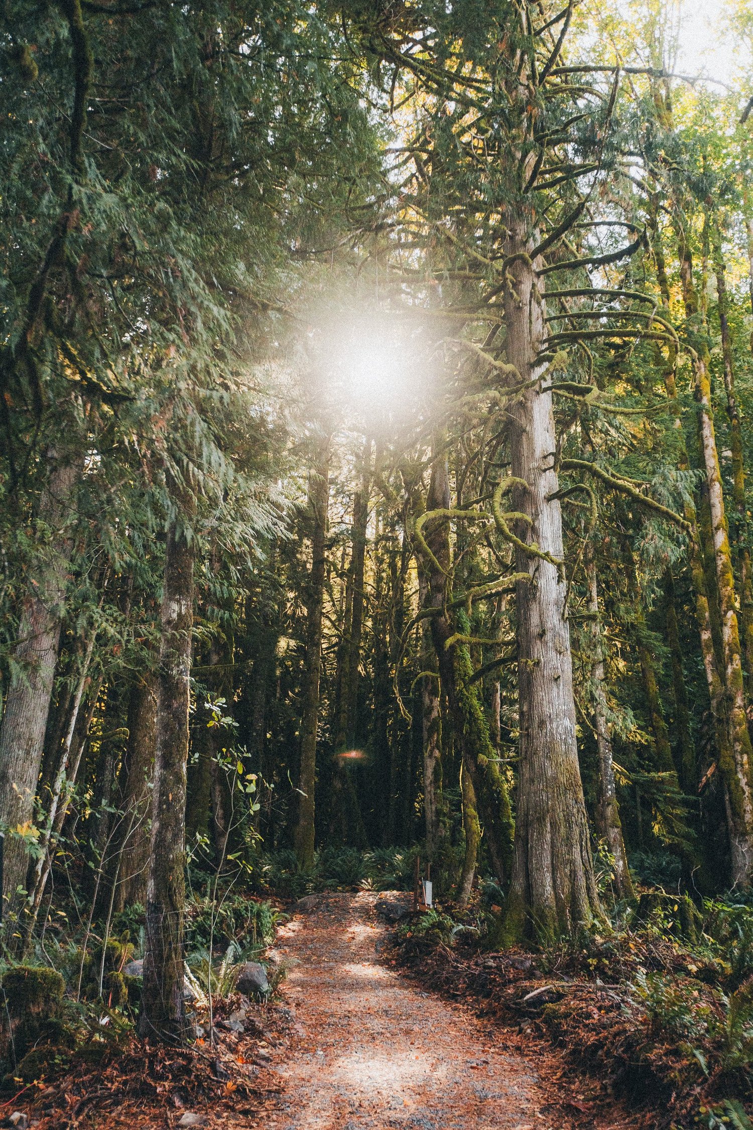 Farm Stay and Wedding Venue in Brightwood, Oregon - Highland Farms