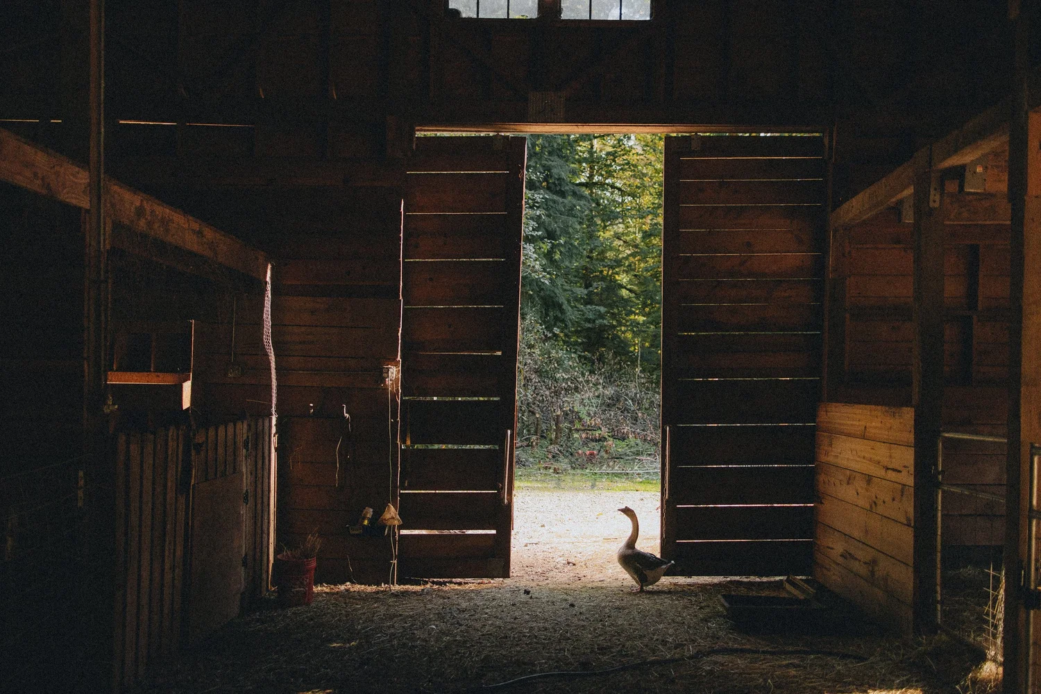 Farm Stay and Wedding Venue in Brightwood, Oregon - Highland Farms