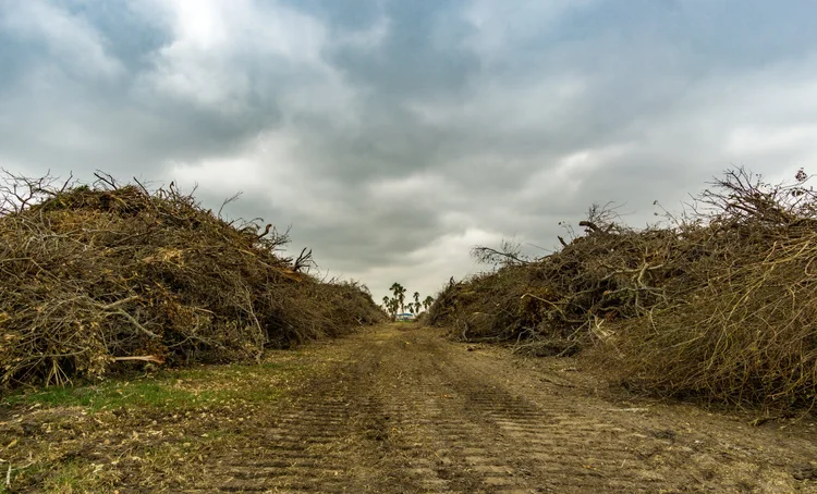 Debris Removal & Management — DRC Emergency Services - 2022