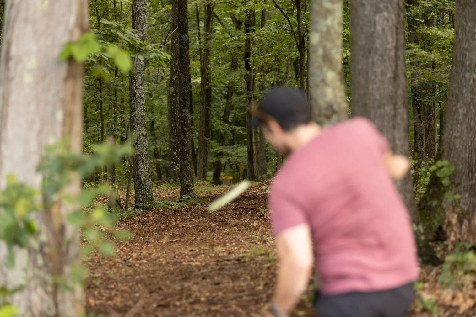 Disc Golf | Join the Excitement — Locust Post Brewery