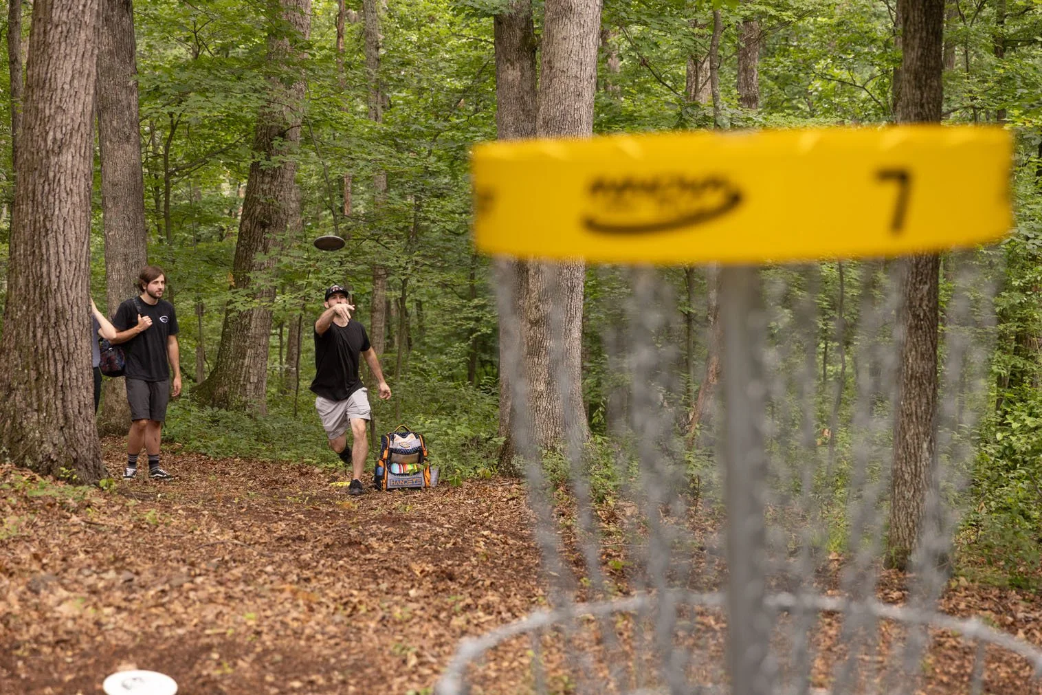 Disc Golf | Join the Excitement — Locust Post Brewery