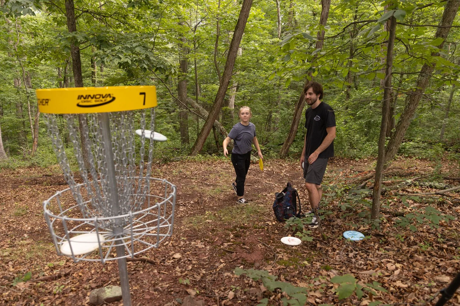 Disc Golf | Join the Excitement — Locust Post Brewery