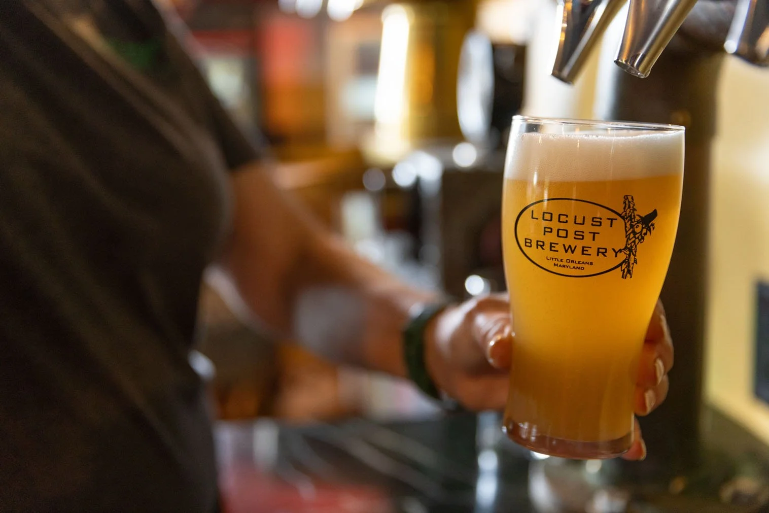 Taproom — Locust Post Brewery