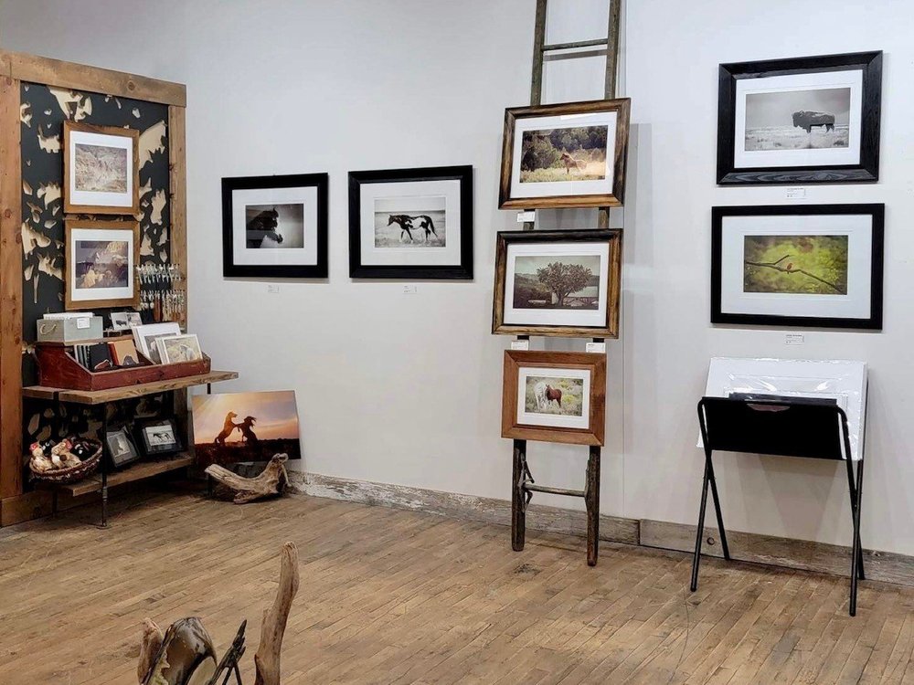 About — Jackie Scherer Photography