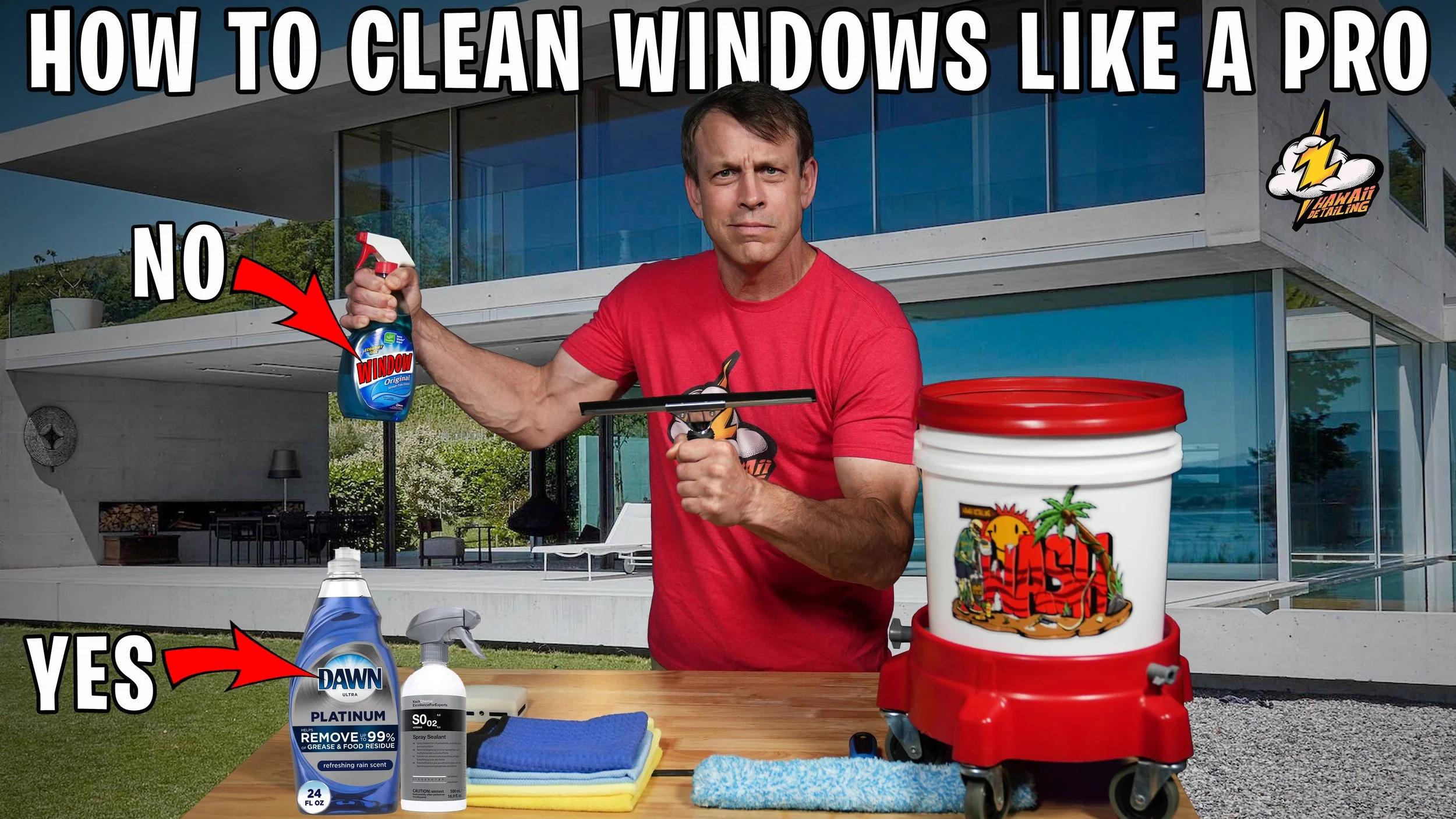 Ultimate Guide to Crystal-Clear Windows: DIY Window Cleaning with Dish ...