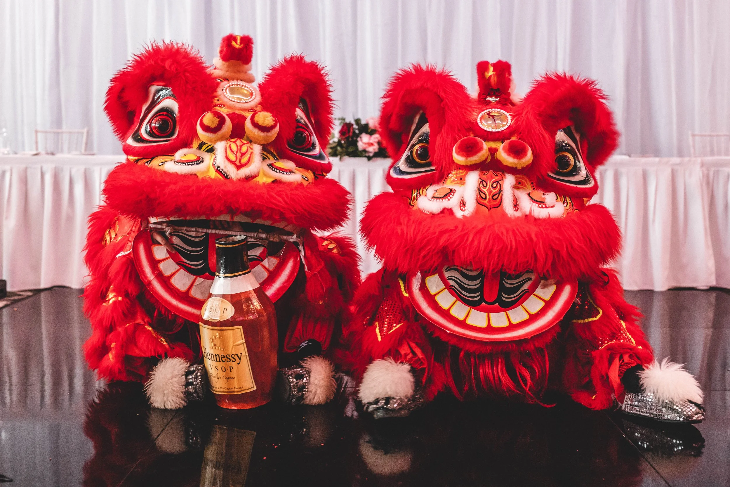 Lion Dance Show Elements — Australia Jing Yee Dragon & Lion Dance ...