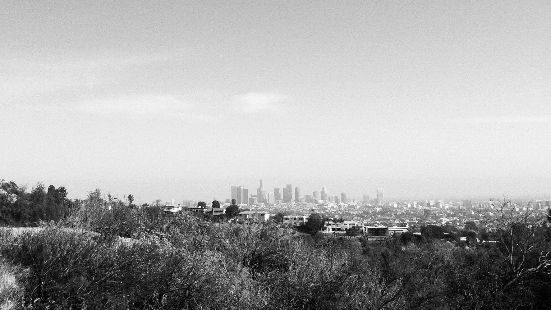 Studio Q Photography