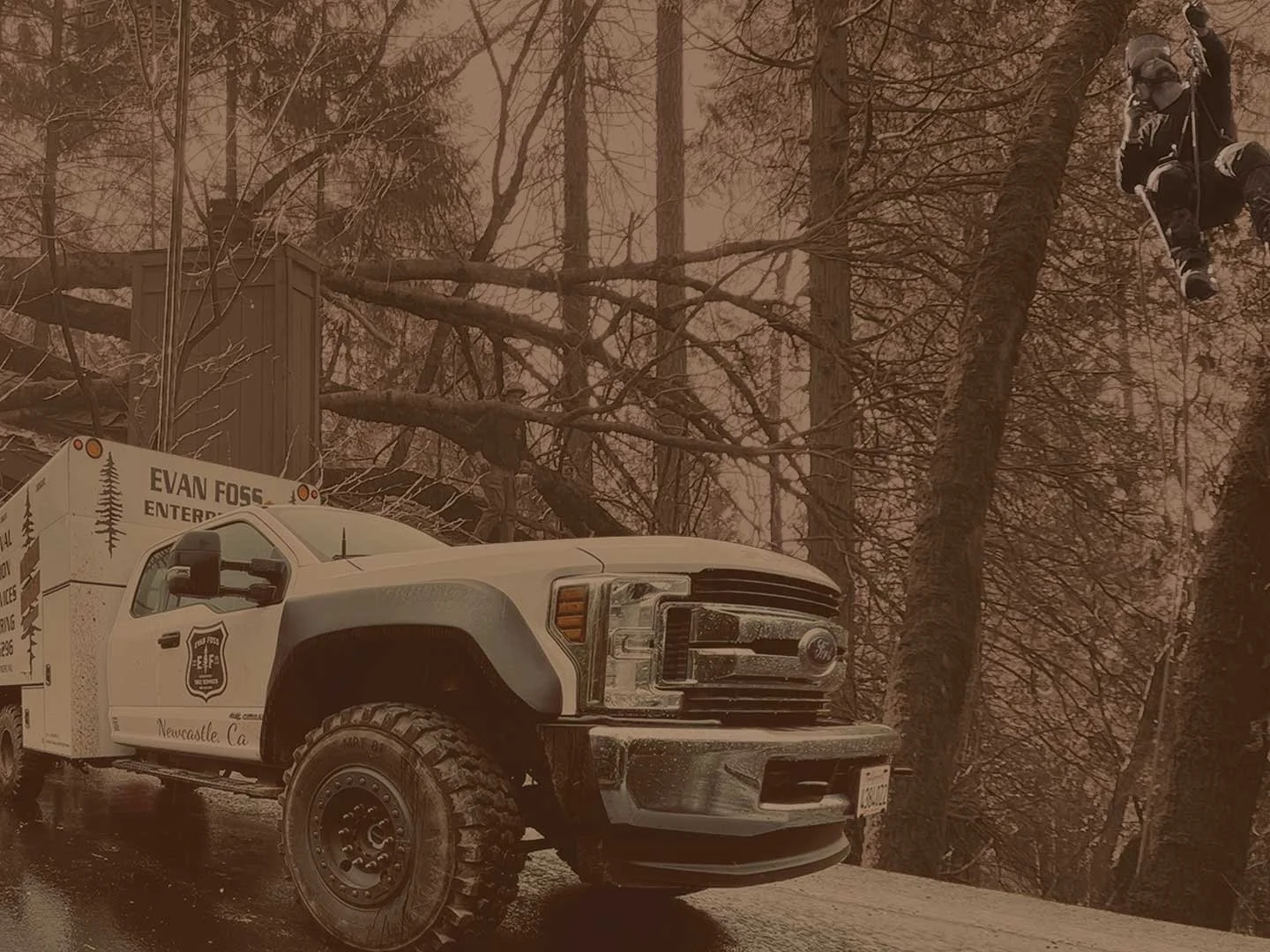 Evan Foss Enterprises | California Based Professional Tree Services ...