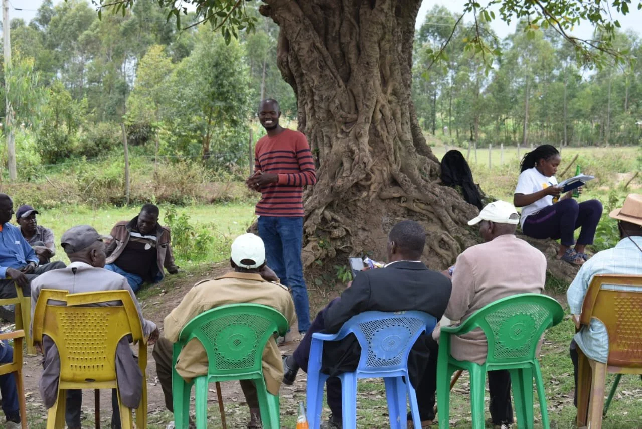 Programmes — Safe Engage Foundation