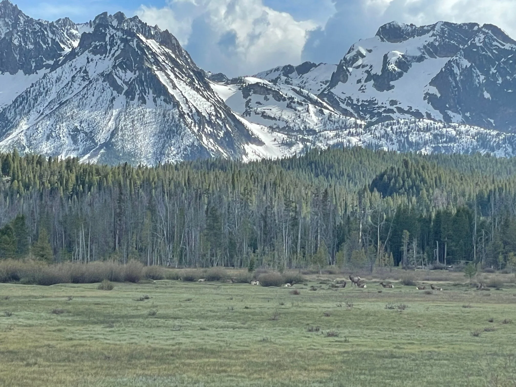 Sawtooth City Association