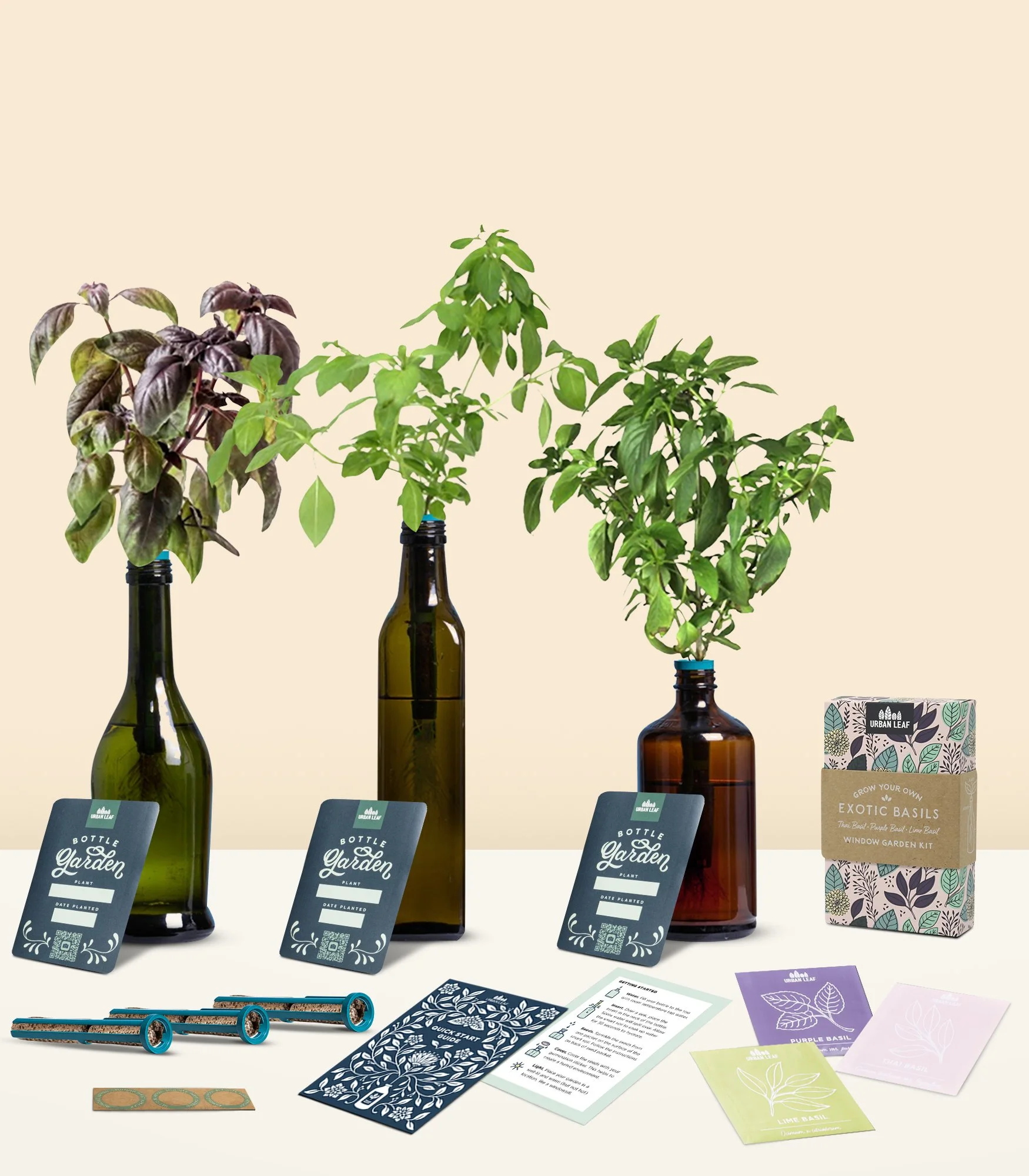 Bottle Gardens — Rob Elliott, PhD