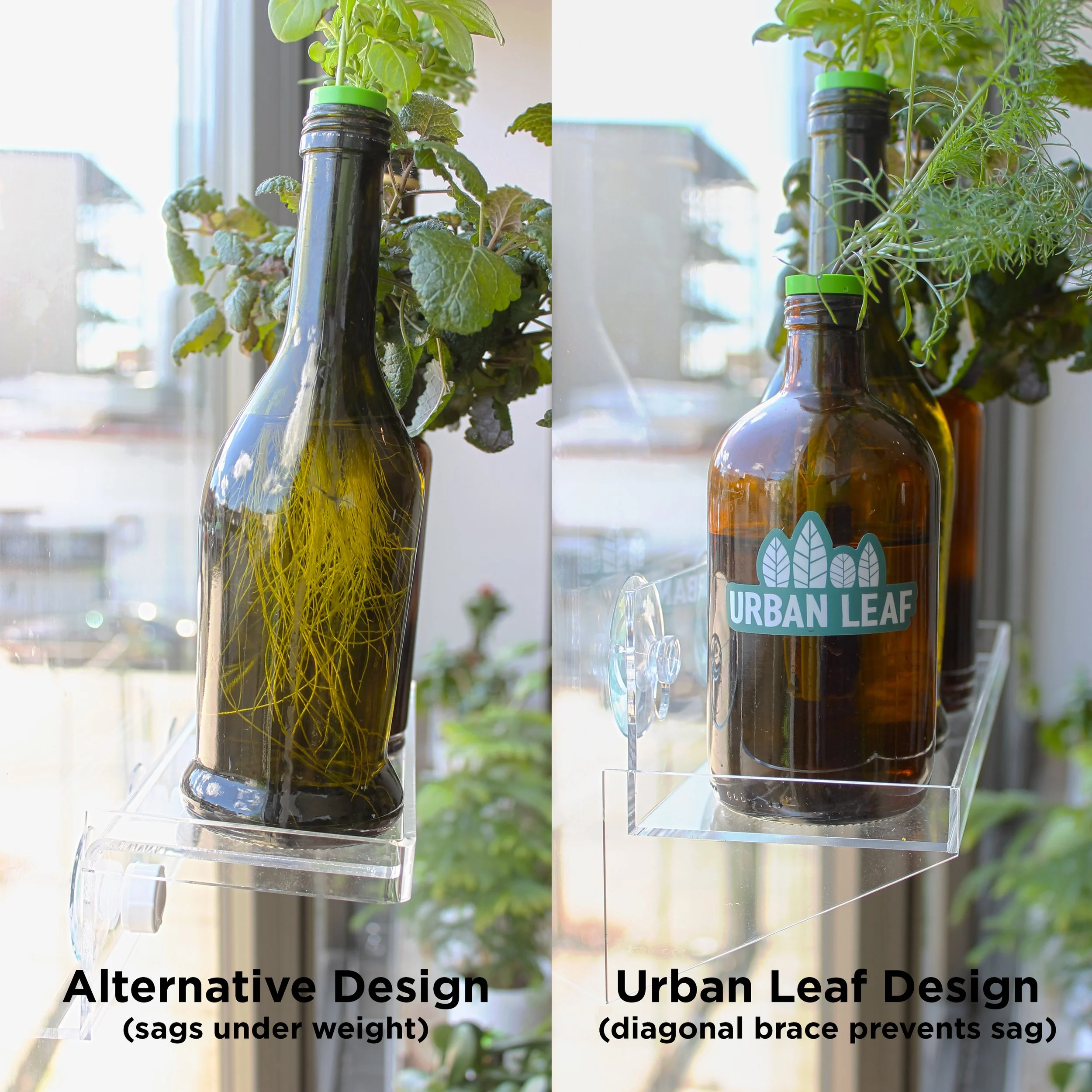 Window Shelf — Rob Elliott, PhD