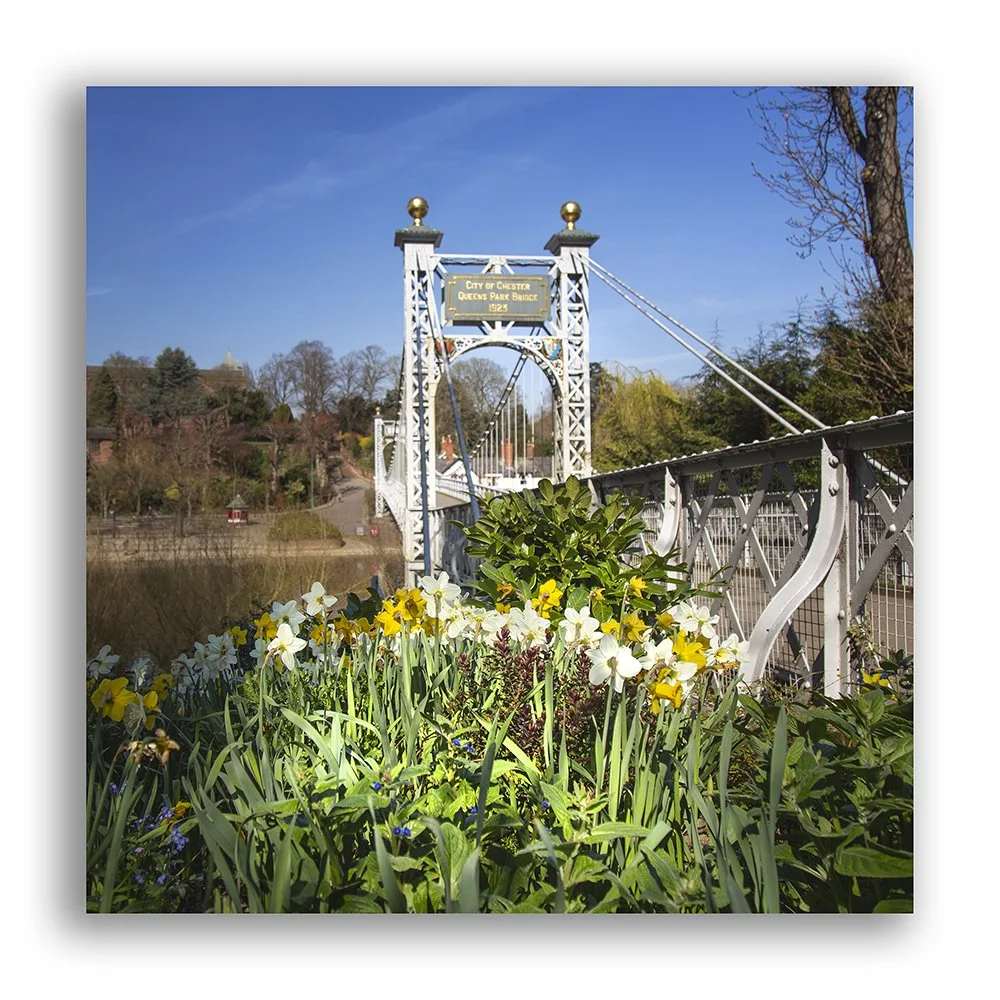 Queens Park Suspension Bridge in Spring — Dan Jeory Photography