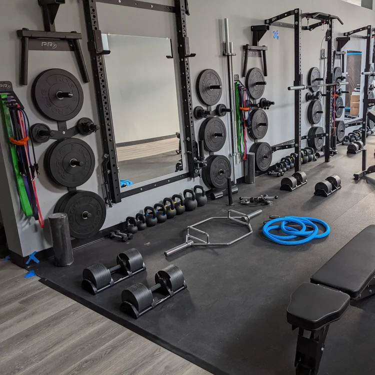Trainer Portal — JT Training Studios