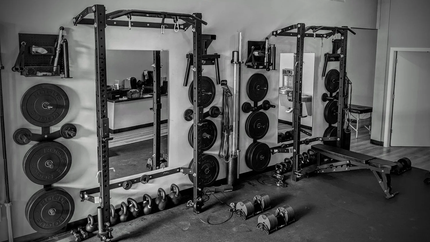 Trainer Portal — JT Training Studios