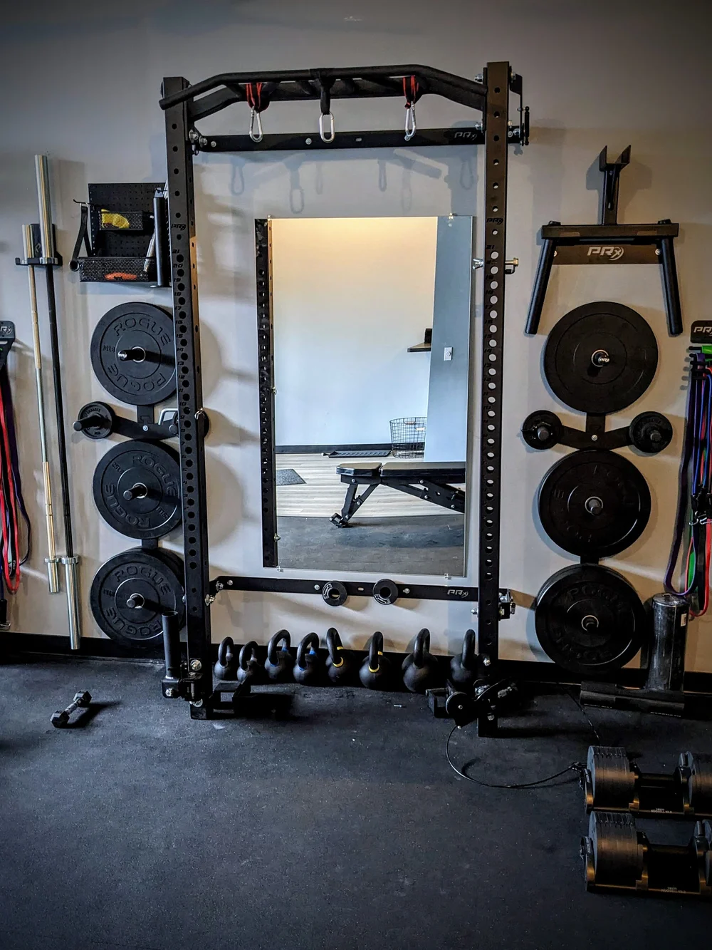 Trainer Portal — JT Training Studios