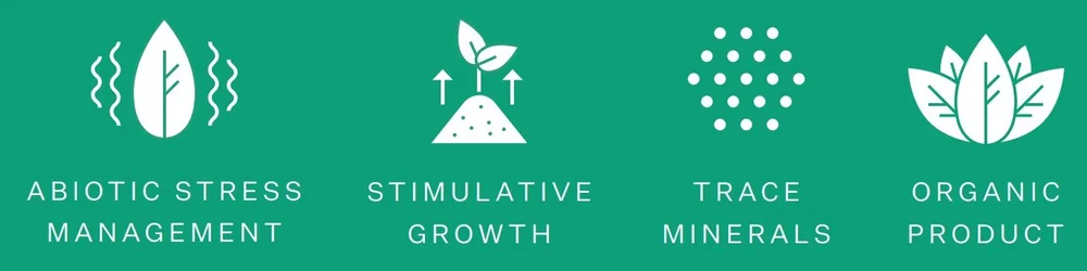 NZBioActive — Waikaitu