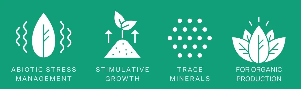 NZBioActive — Waikaitu