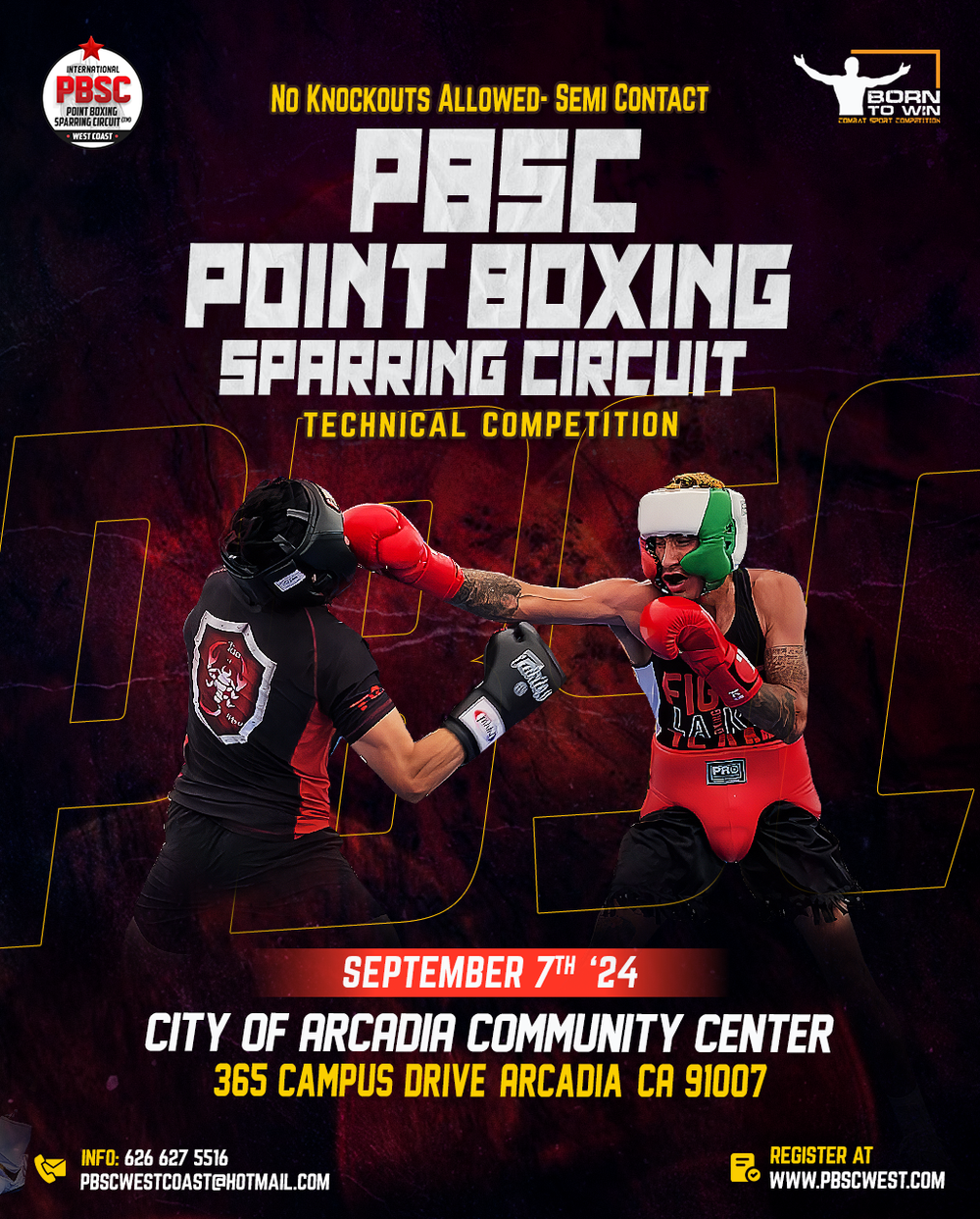 Point Boxing Sparring Circuit