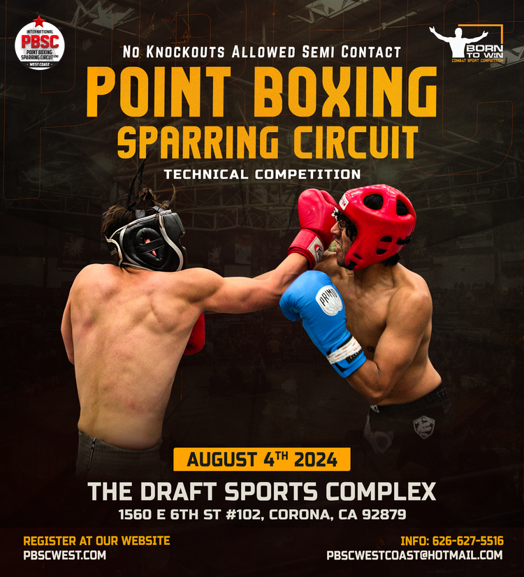 Point Boxing Sparring Circuit