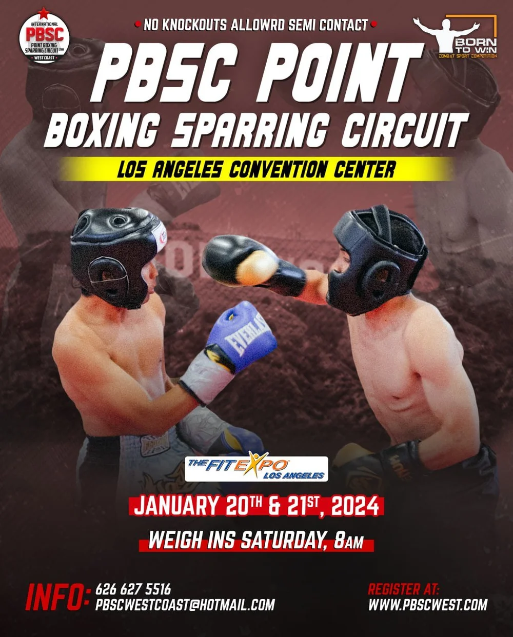 Point Boxing Sparring Circuit