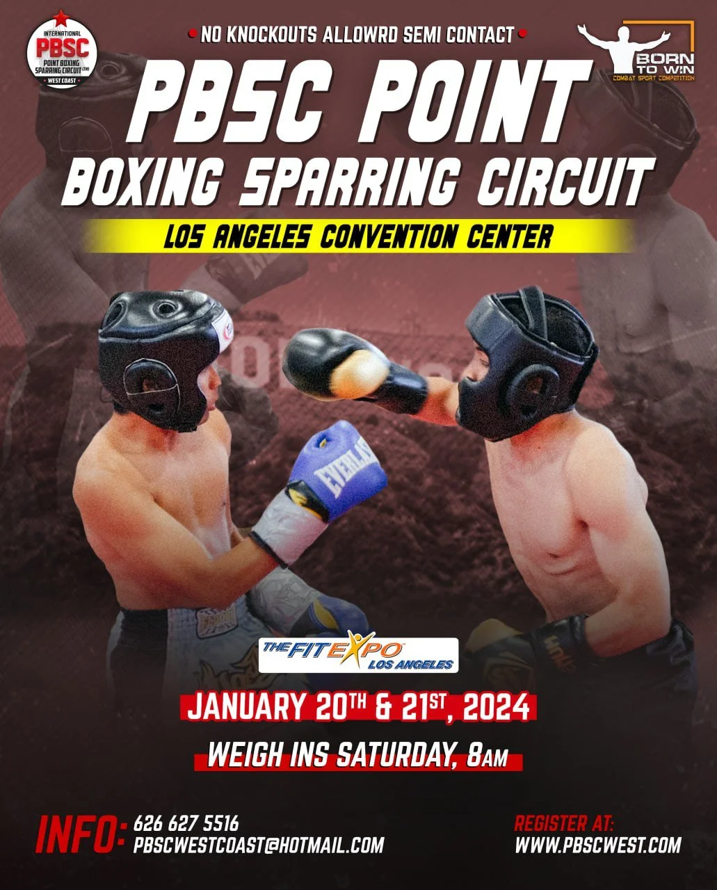 Point Boxing Sparring Circuit