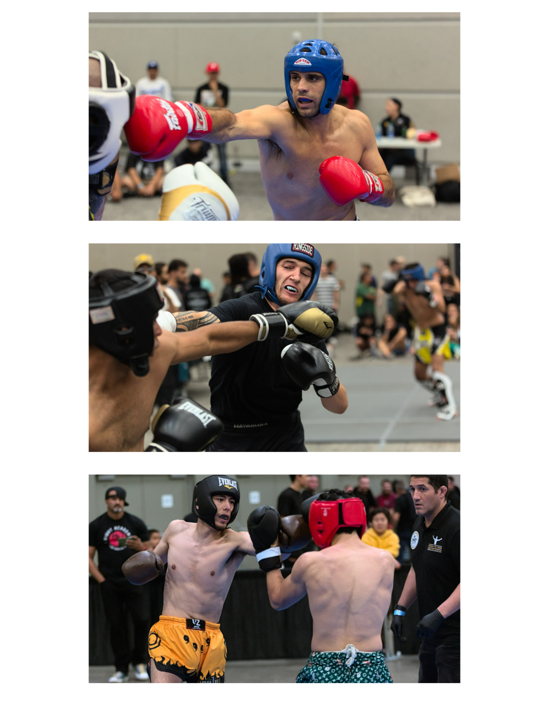 RULES — Point Boxing Sparring Circuit