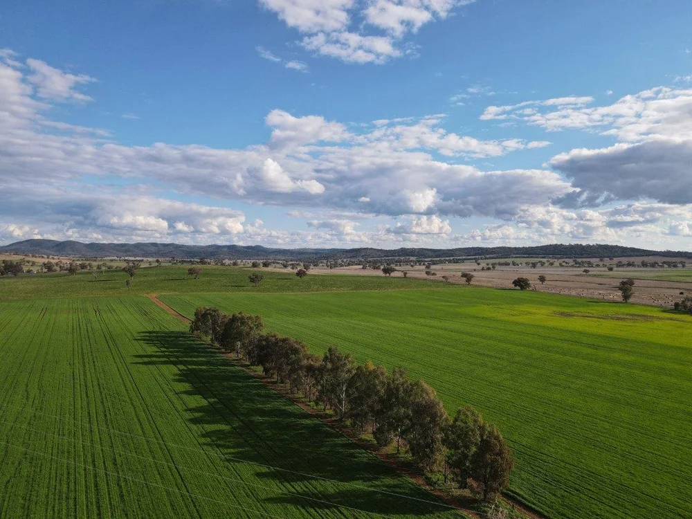 Maryvale Solar & Energy Storage