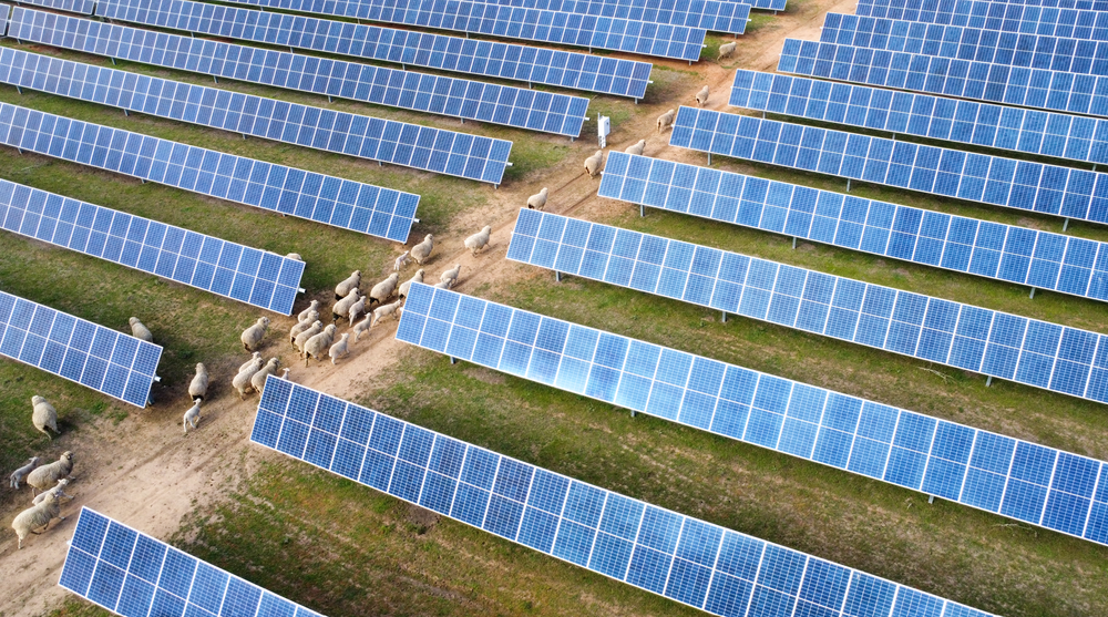 Community Newsletter - March 2025 — Maryvale Solar & Energy Storage
