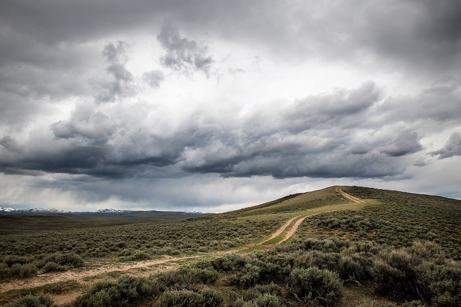 Pixel Peeping — Jason Eldridge Photo