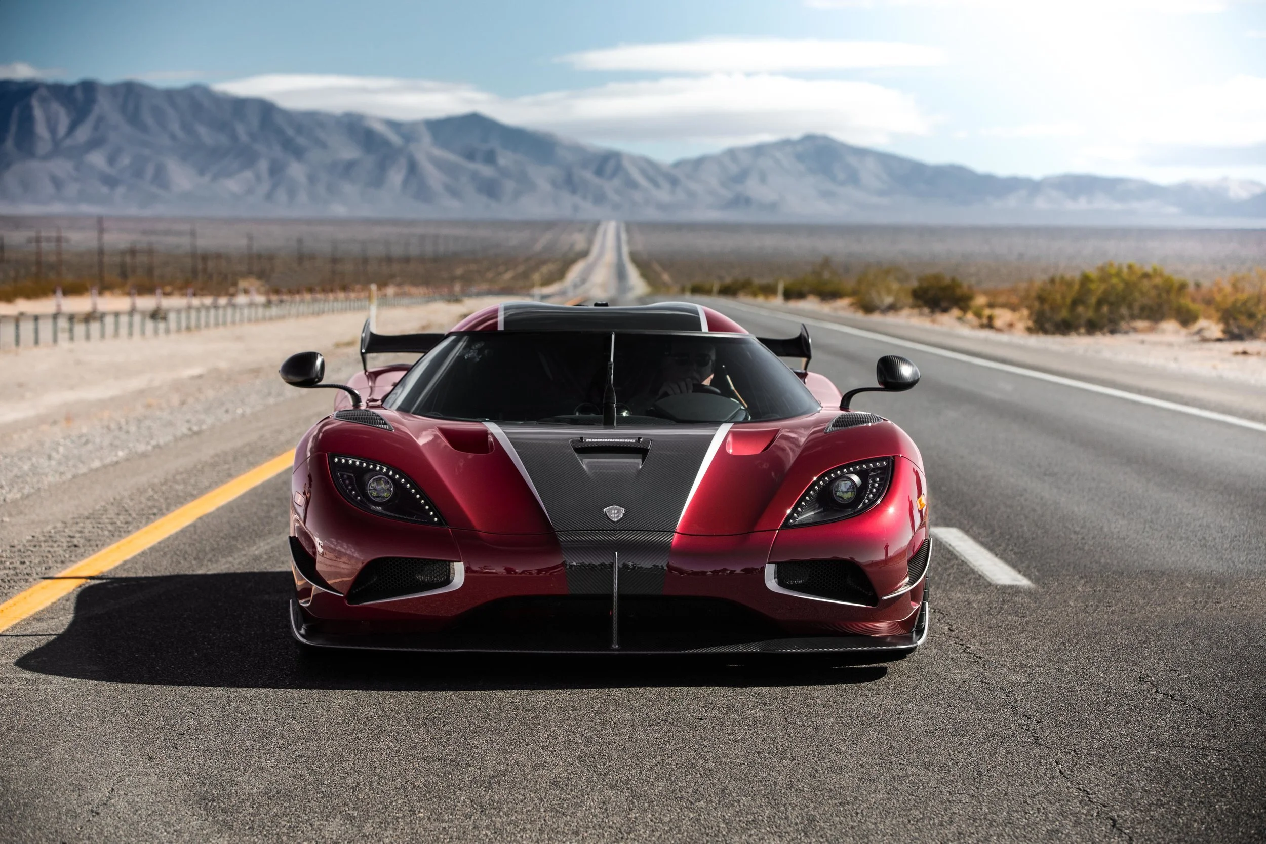 The Registry — Egg Registry