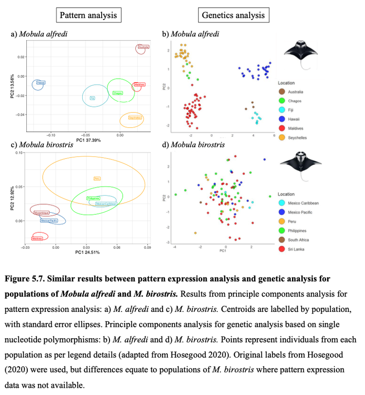 The Spatial Ecology of Manta Rays: Movement, Habitat Use and ...