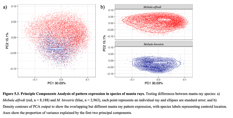 The Spatial Ecology of Manta Rays: Movement, Habitat Use and ...