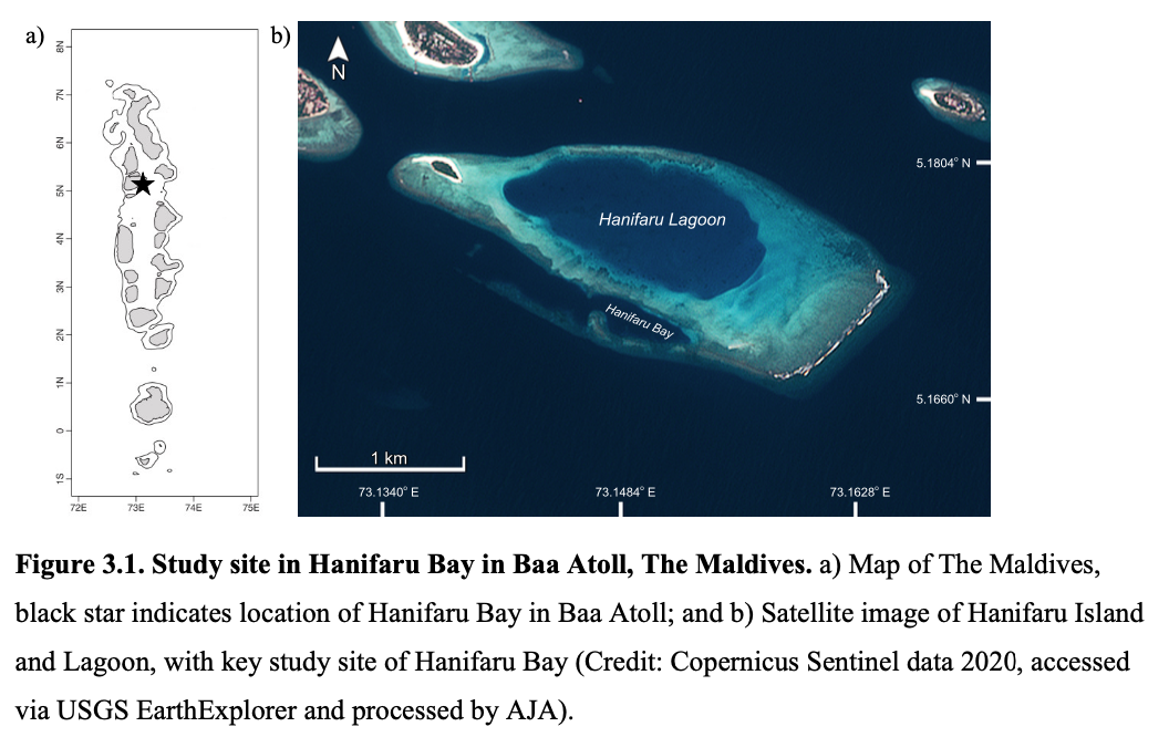The Spatial Ecology of Manta Rays: Movement, Habitat Use and ...