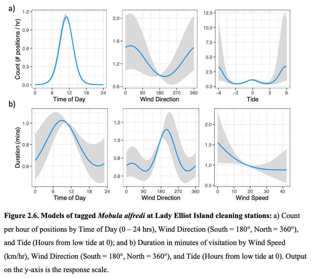 The Spatial Ecology of Manta Rays: Movement, Habitat Use and ...