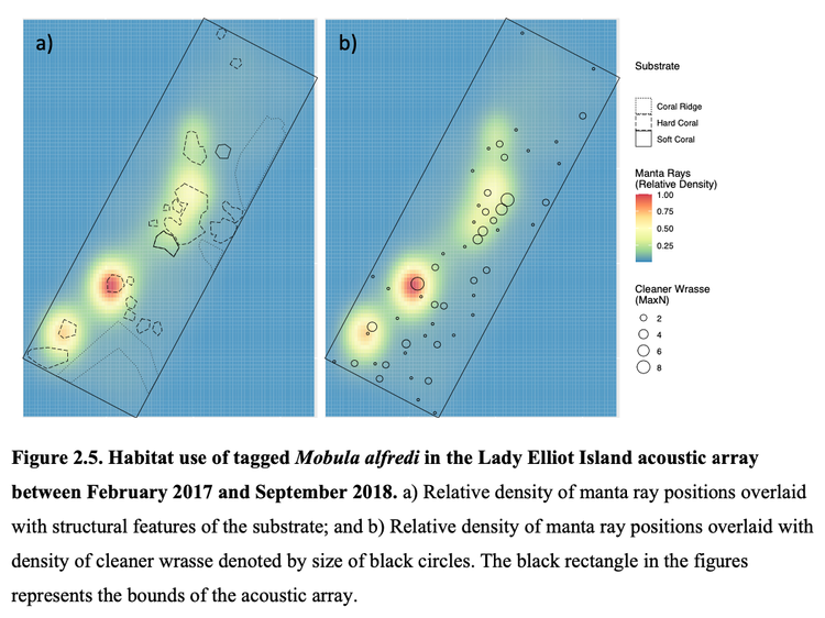 The Spatial Ecology of Manta Rays: Movement, Habitat Use and ...