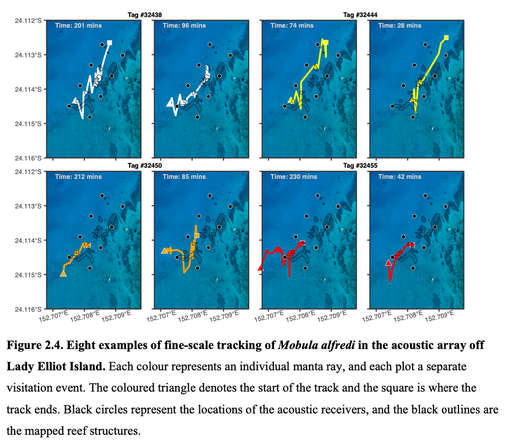 The Spatial Ecology of Manta Rays: Movement, Habitat Use and ...