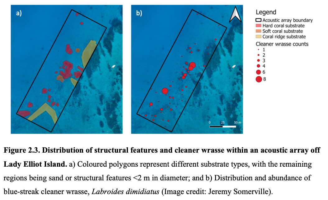 The Spatial Ecology of Manta Rays: Movement, Habitat Use and ...