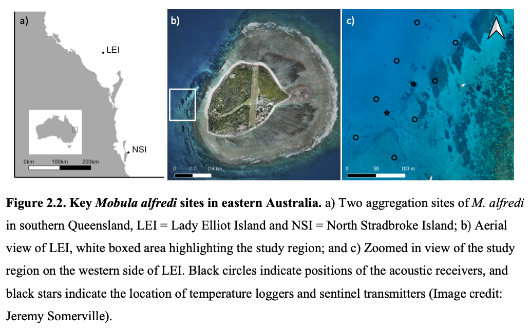 The Spatial Ecology of Manta Rays: Movement, Habitat Use and ...