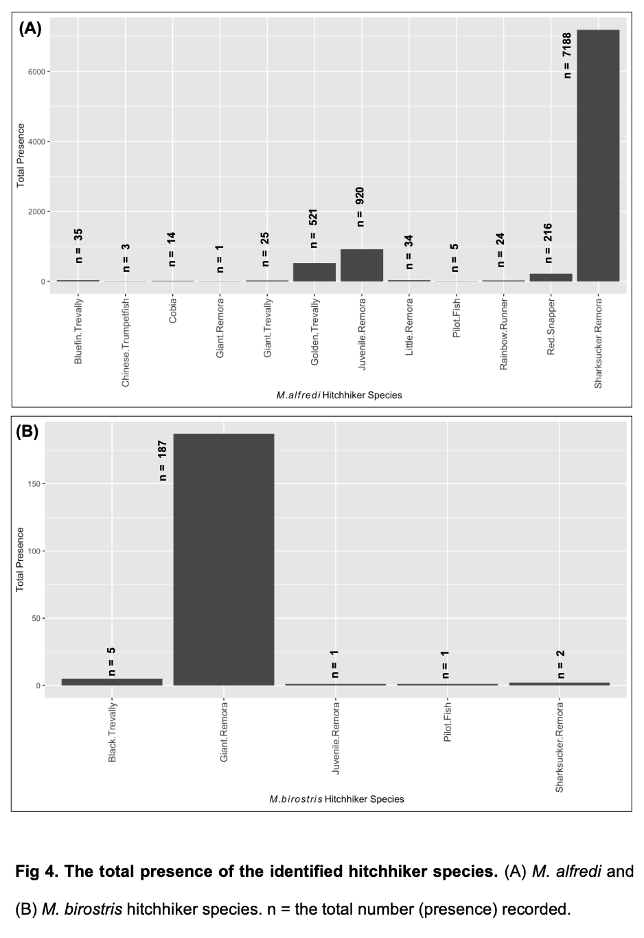 A hitchhiker’s guide to manta rays - Patterns of association... — Manta ...