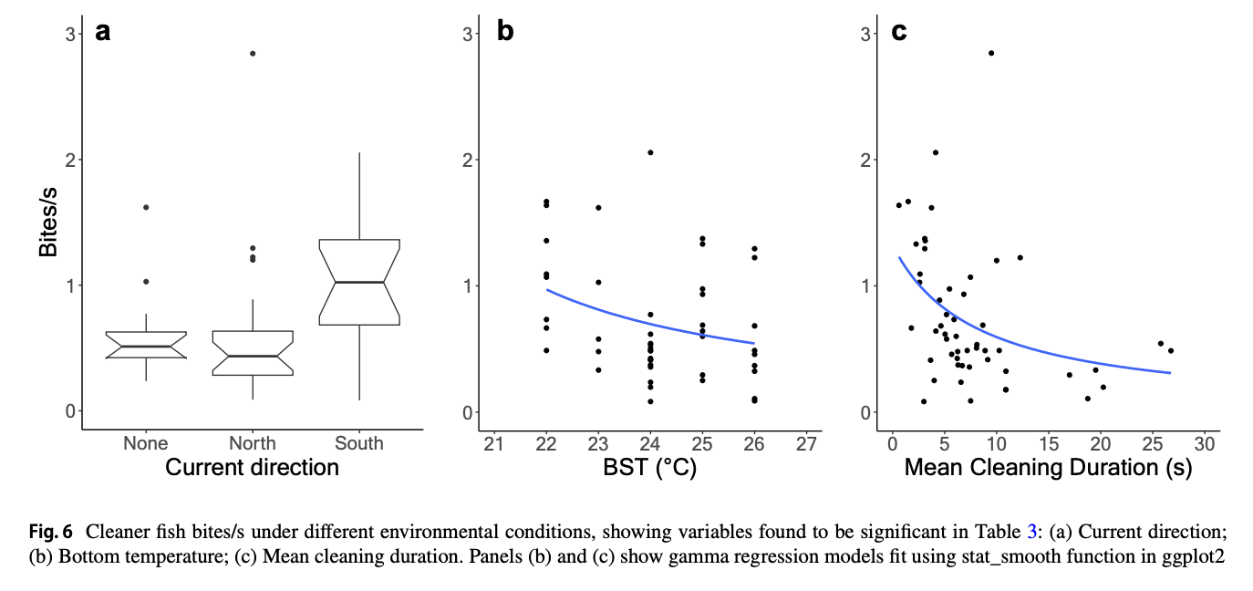 Behavior, site use and demographics of shortfin devil rays, Mobula ...