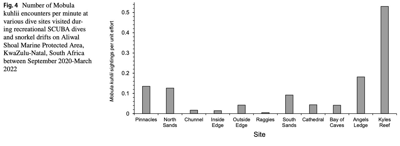 Behavior, site use and demographics of shortfin devil rays, Mobula ...