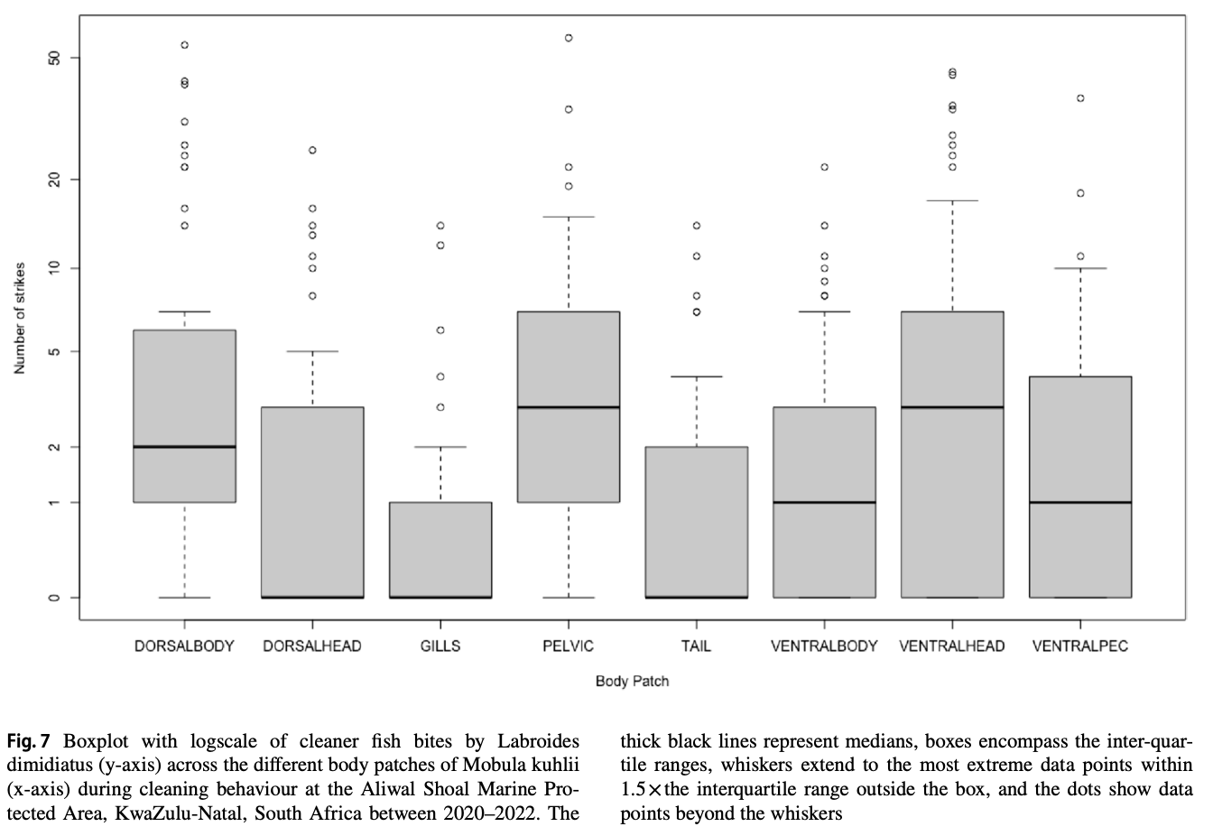 Behavior, site use and demographics of shortfin devil rays, Mobula ...